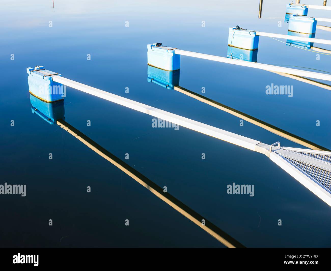 Bright blue buoys float on a serene lake, their elongated shadows stretching across the still ...