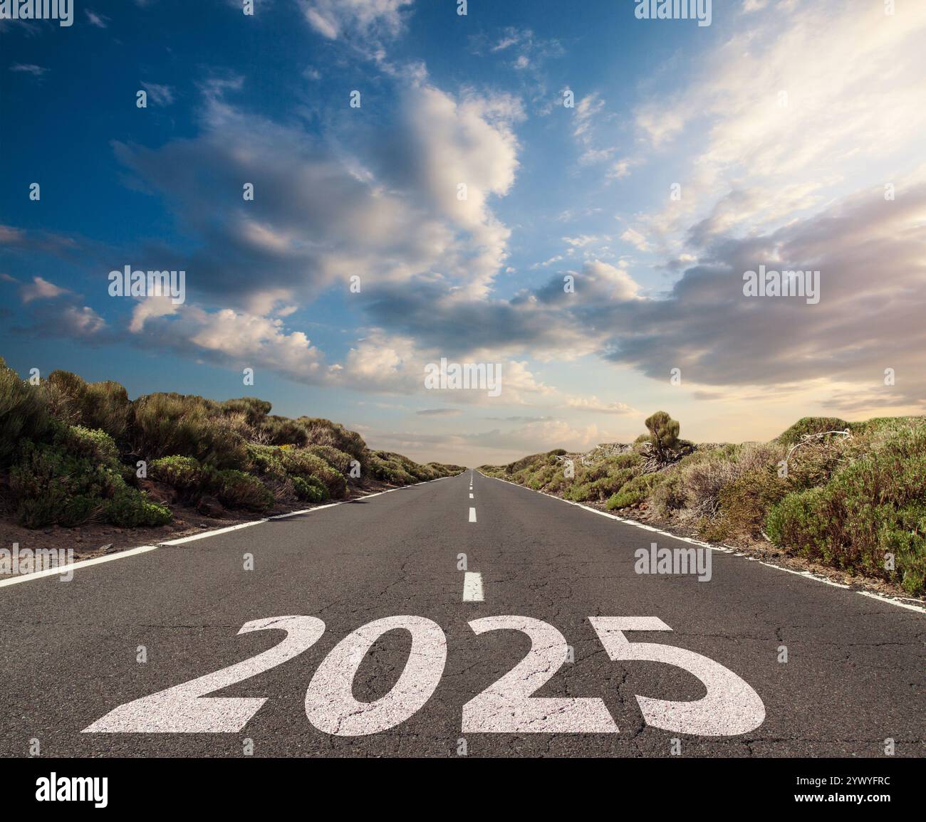 Future, strategy and success in New Year 2025 concept. Road with 2025 ...