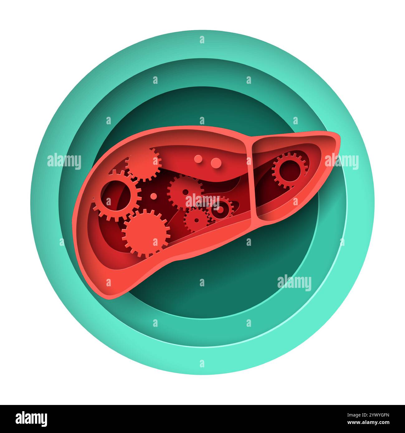 Human liver work process paper cut craft vector illustration Stock ...