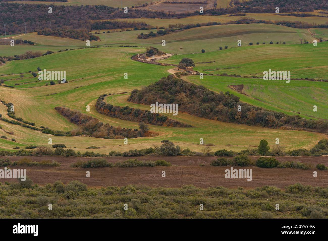 A view of beautiful green fields, interspersed with trees and rolling ...