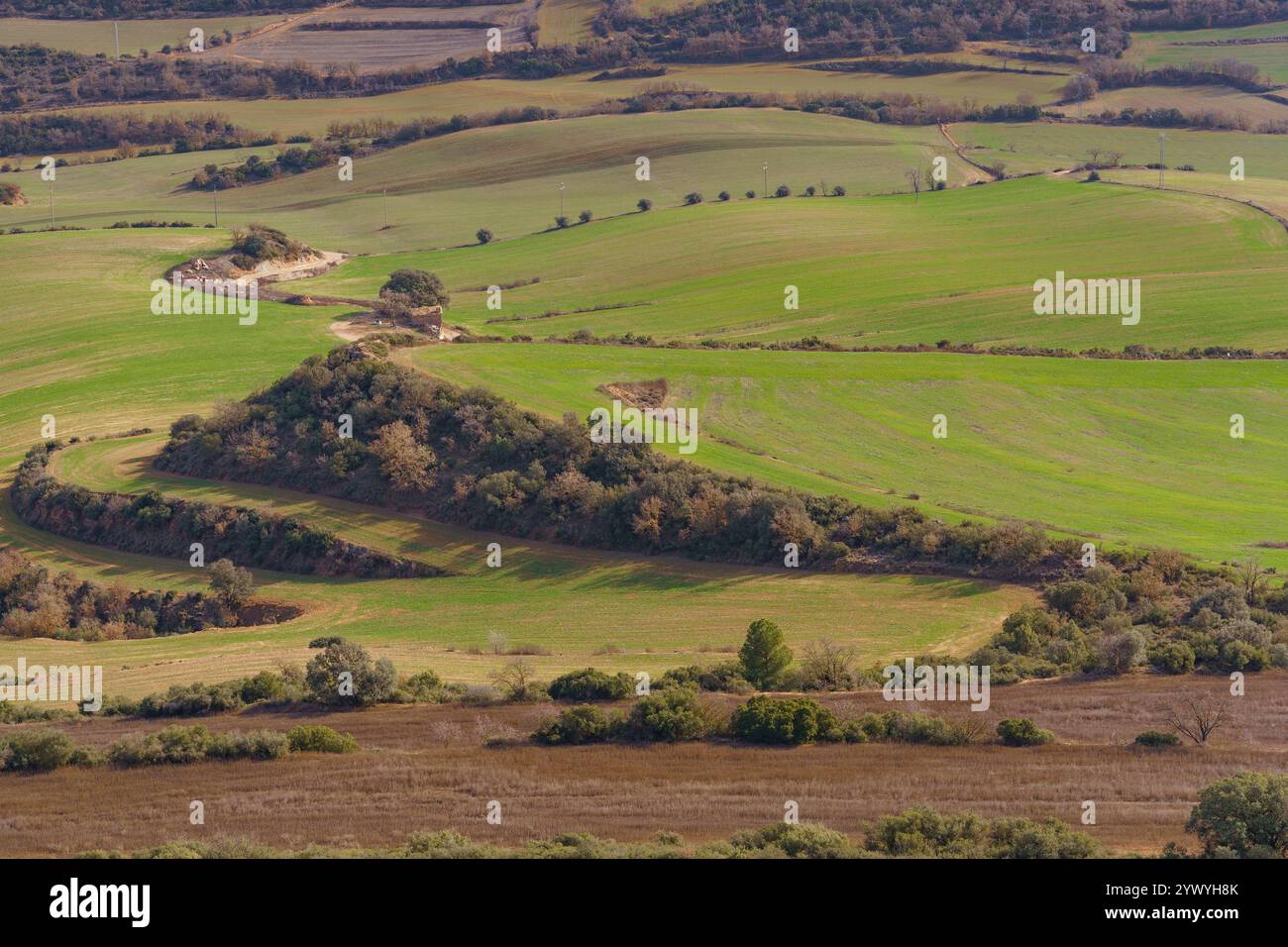 A view of beautiful green fields, interspersed with trees and rolling ...