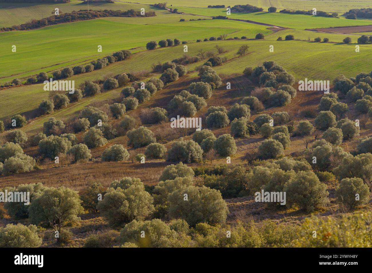 Gravel mounds and fields hi-res stock photography and images - Alamy