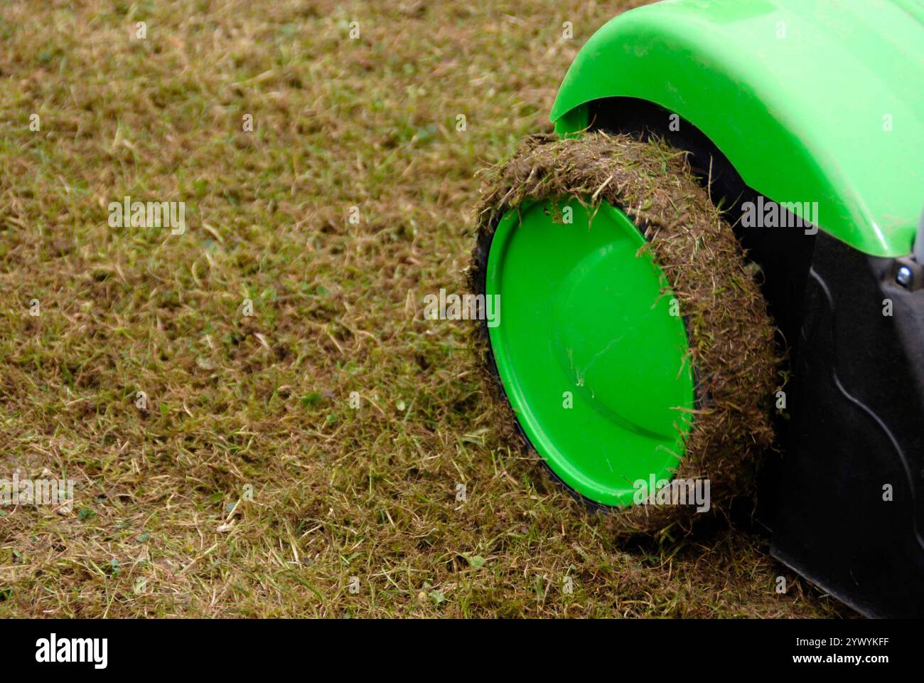Wheel of a scarifier covered with moss on a meadow Stock Photo - Alamy