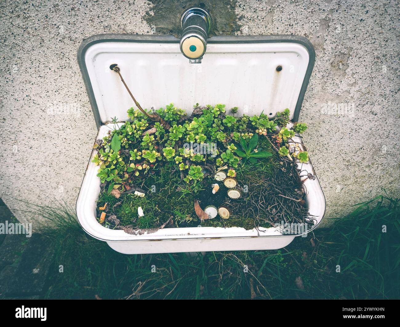 Overgrown by weeds hi-res stock photography and images - Alamy