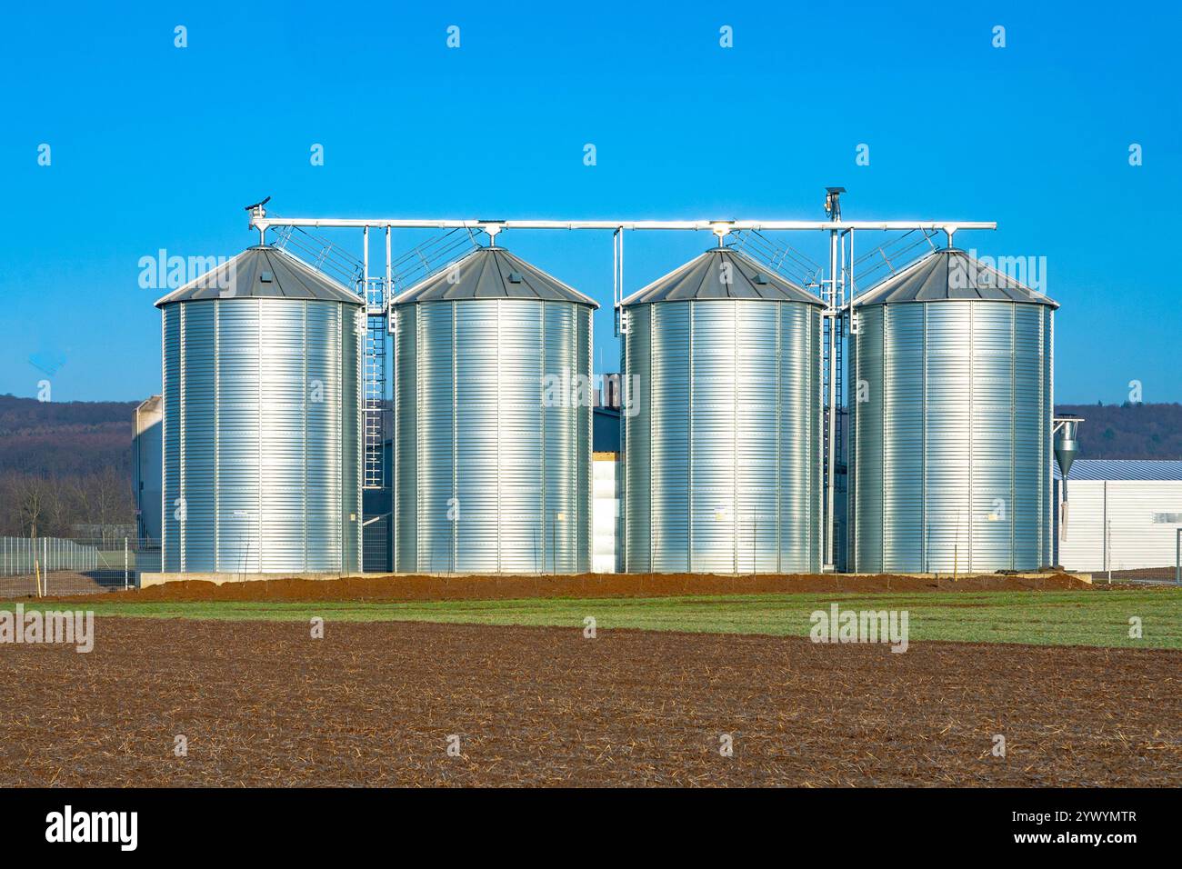 beautiful landscape with four silos and blue sky Stock Photo - Alamy