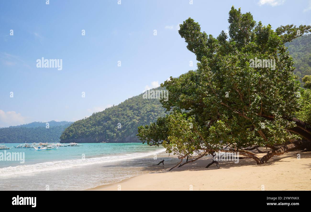Scenic beach on Palawan island, Philippines Stock Photo - Alamy