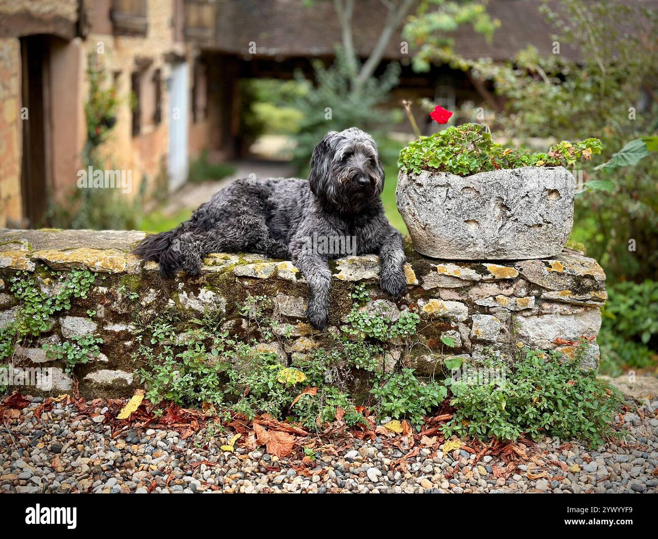 Rock activities hi-res stock photography and images - Alamy