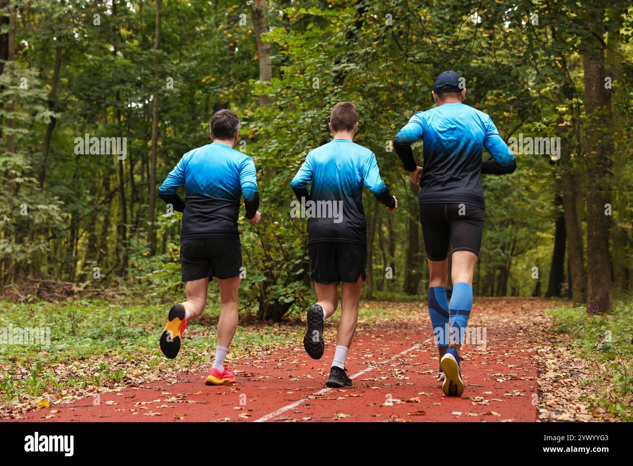 Group of athletic people running in park, back view Stock Photo - Alamy