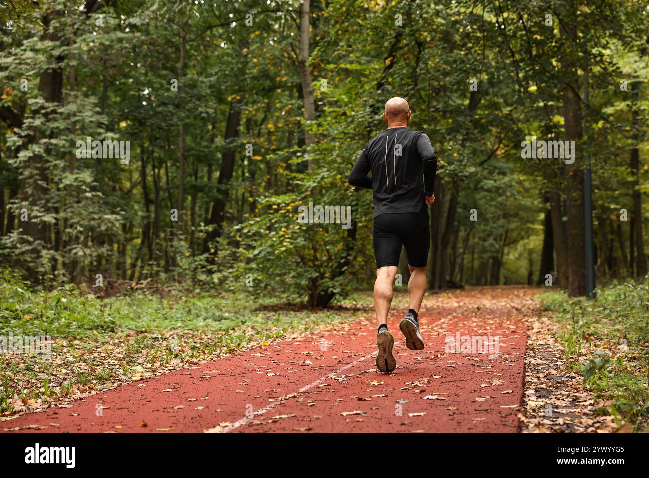 Athletic man running in park, back view. Space for text Stock Photo - Alamy