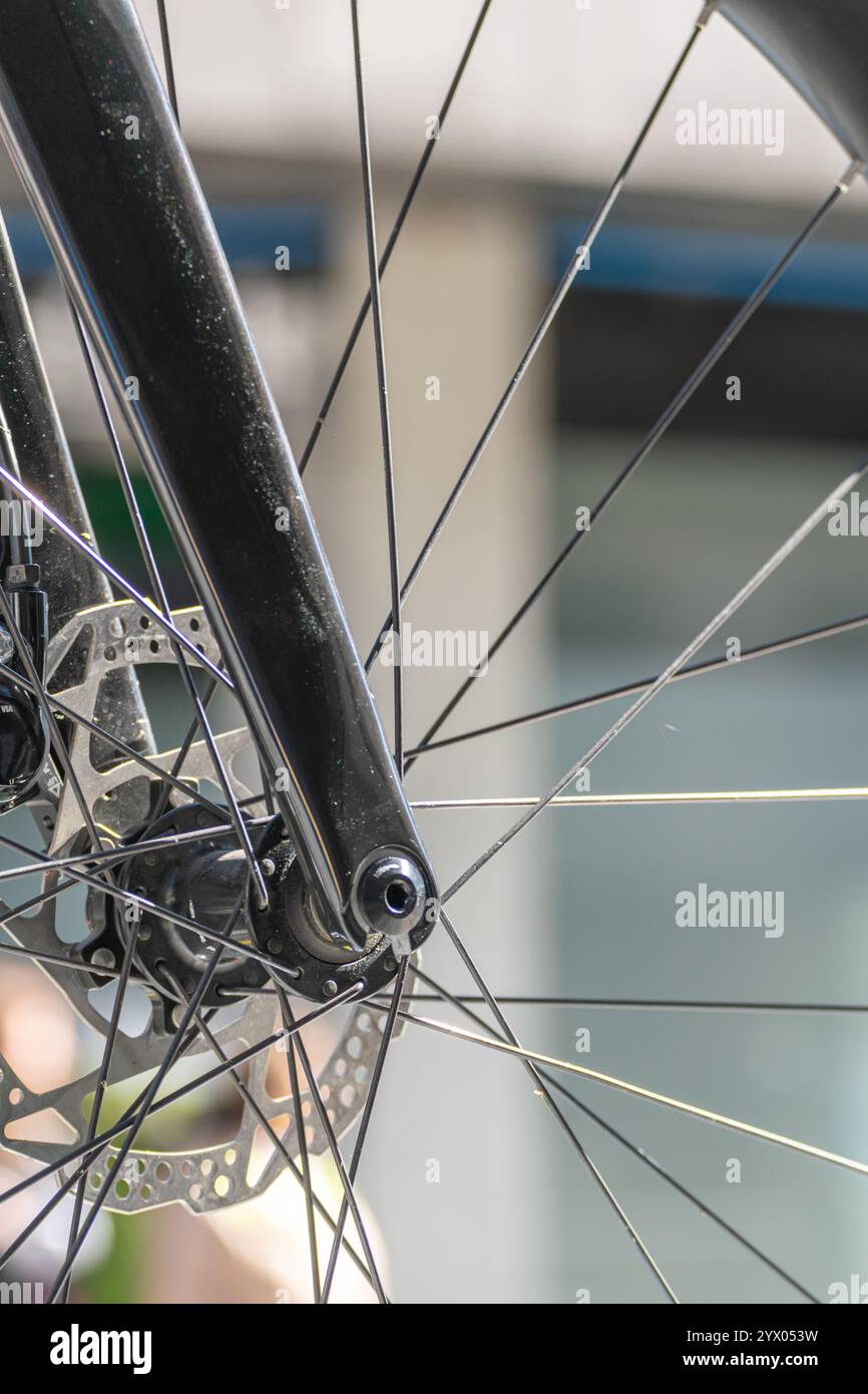 partial view of the front wheel of a road racing bicycle, spokes and ...