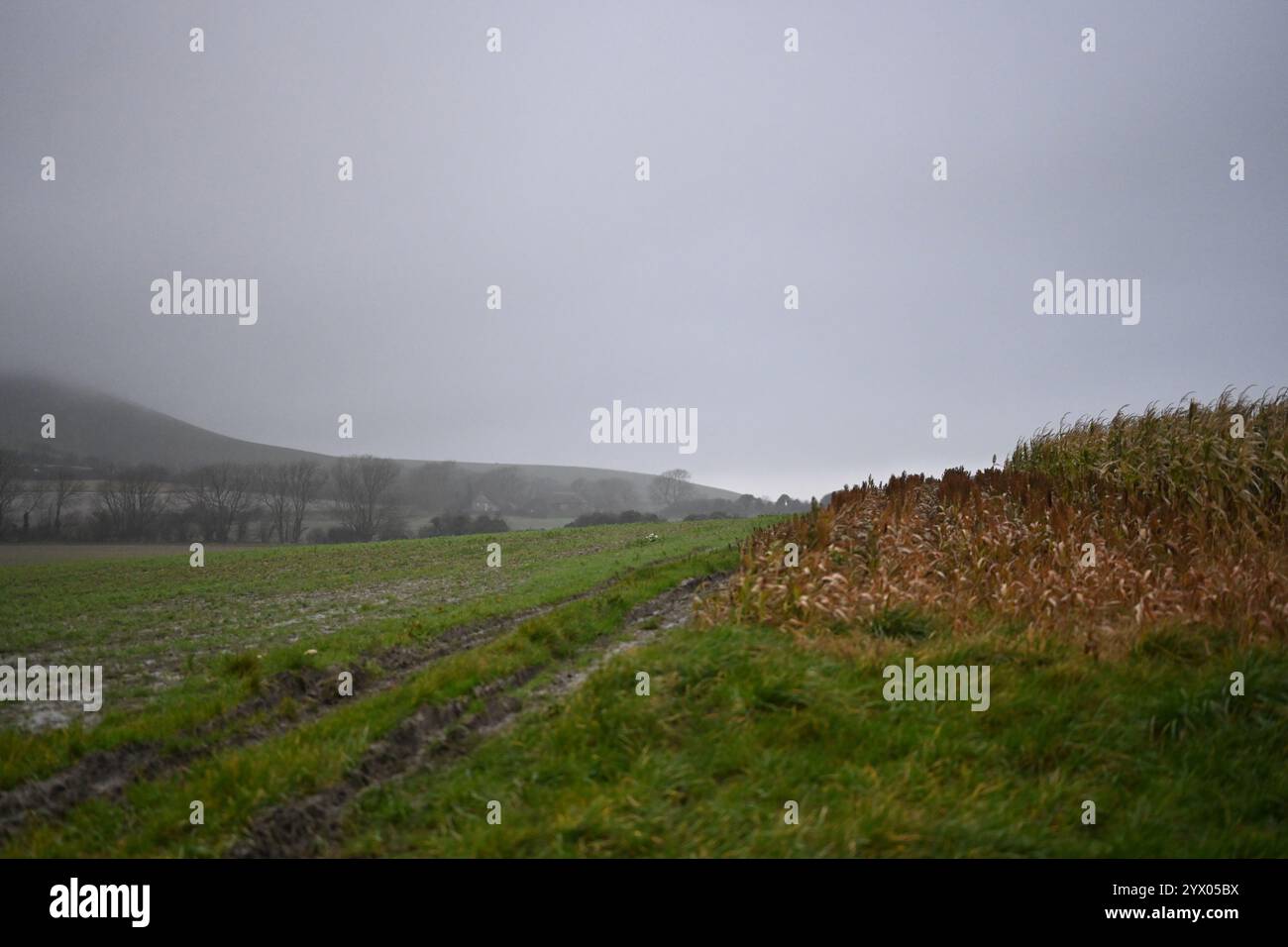 winter farmland stretching across the south downs national park Stock ...