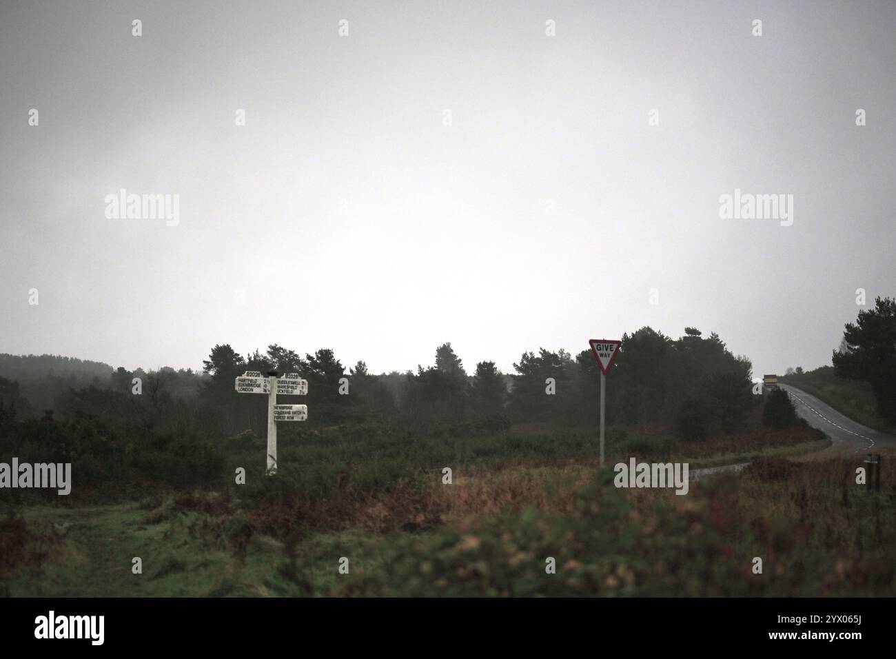 Ashdown forest with windy road, signpost and the forest background ...