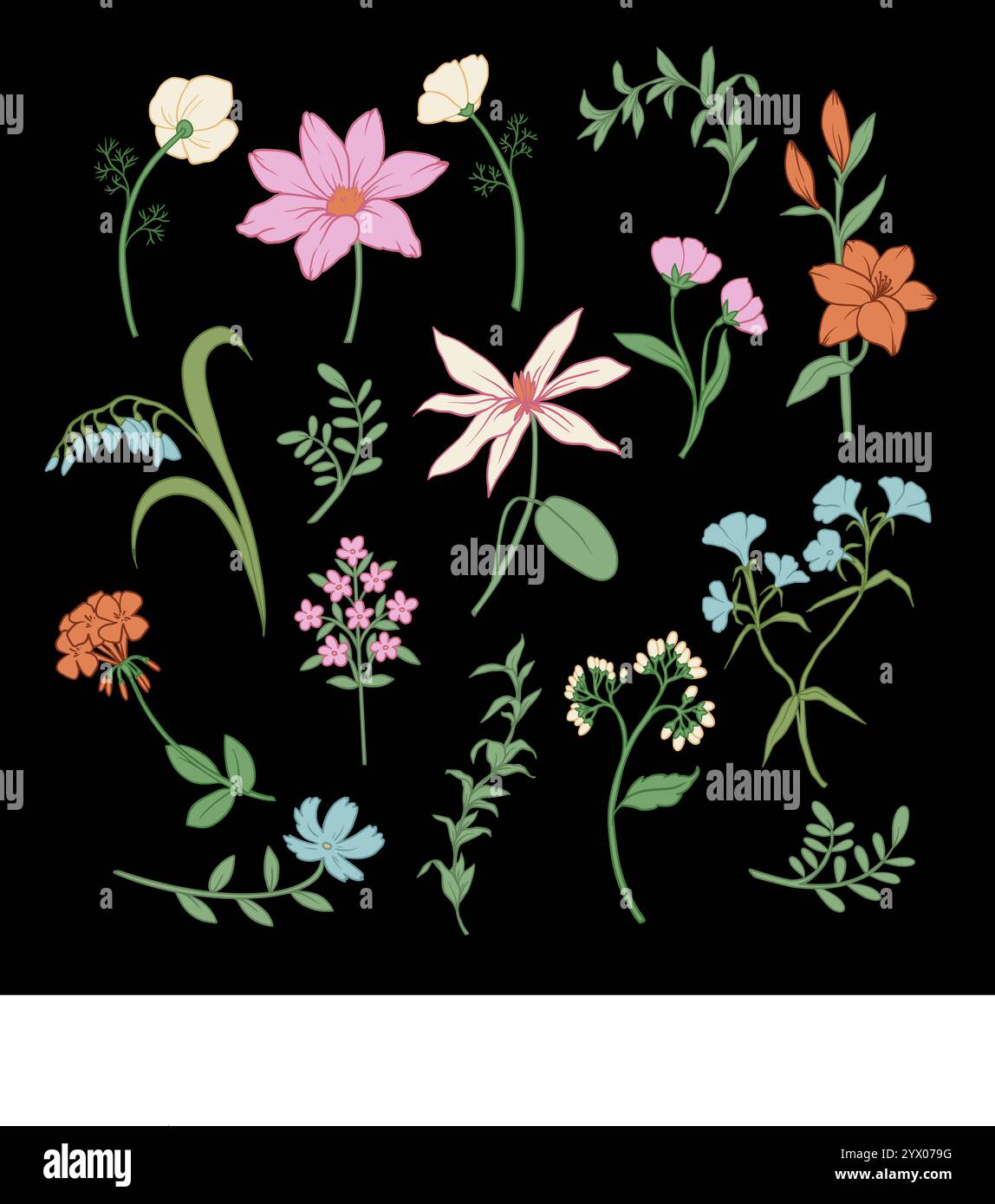 Graphic wild flowers isolated. Vector Stock Vector Image & Art - Alamy