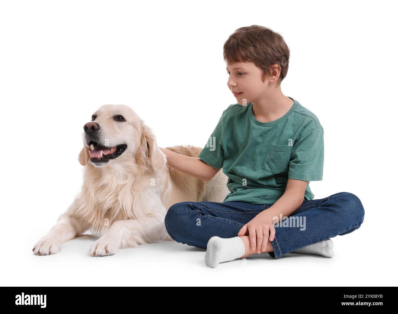 Boy with his cute dog on white background Stock Photo - Alamy