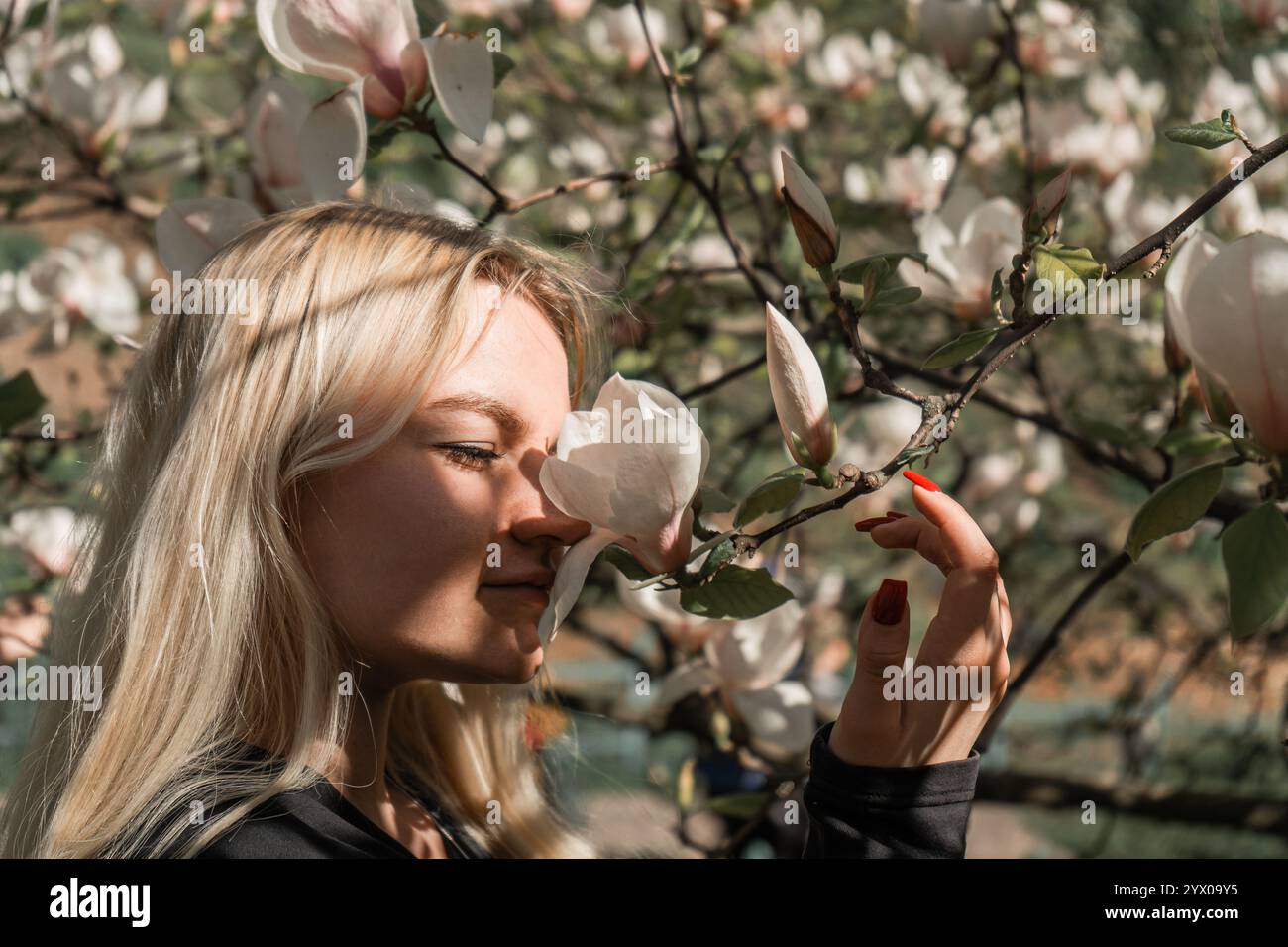 Stylish young woman posing outdoors surrounded by soft pink tones of ...