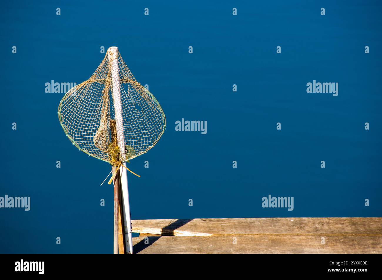 élément net hi-res stock photography and images - Alamy