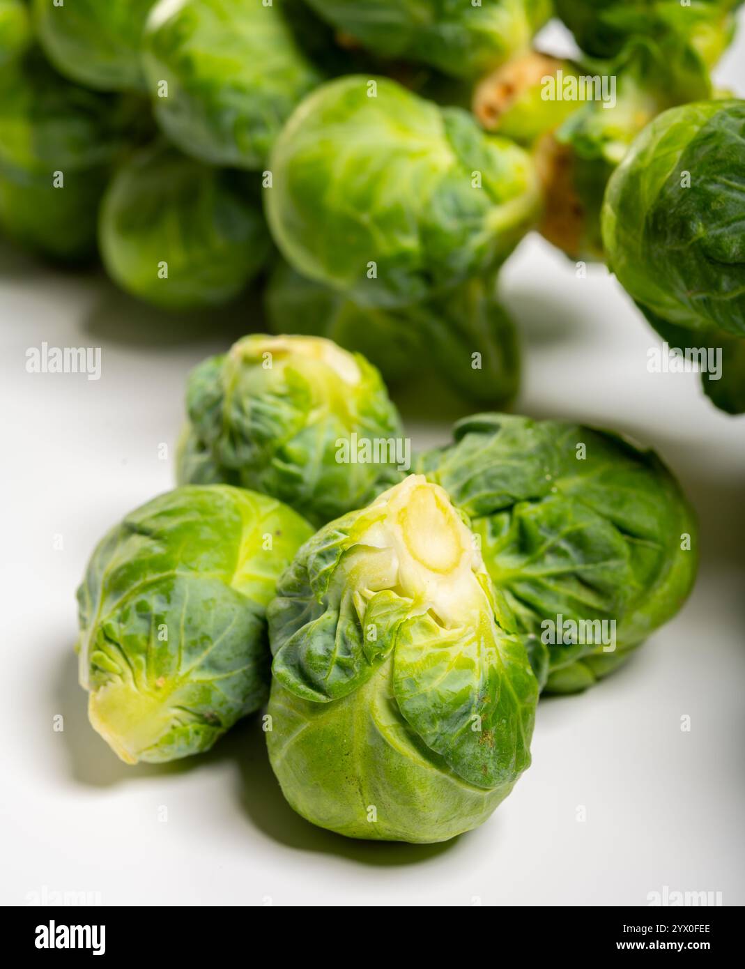Green brussels sprouts vegetables on stalks on white table Stock Photo ...