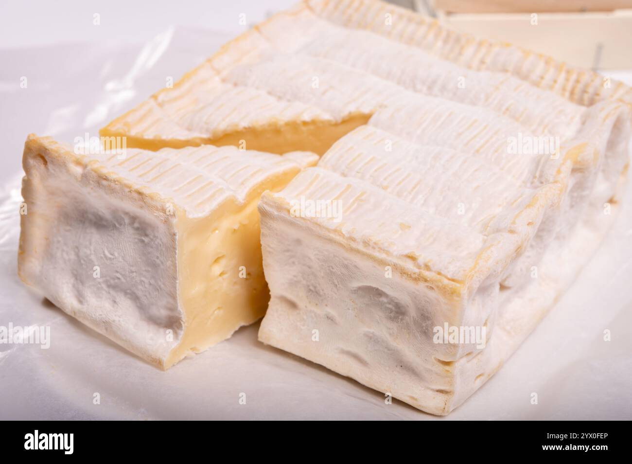 French squared pont l'eveque cow cheese from Calvados department ...