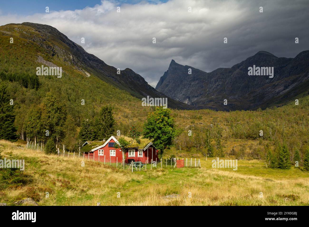 Charming traditional Norwegian houses sit nestled on a lush green field ...