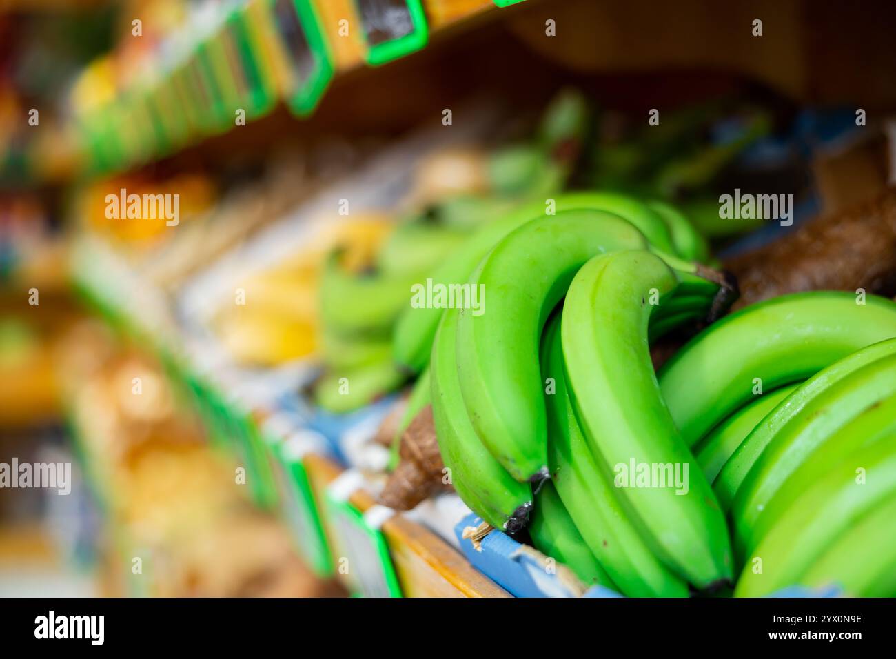 Fresh green bananas platano macho on counter in supermarket Stock Photo ...