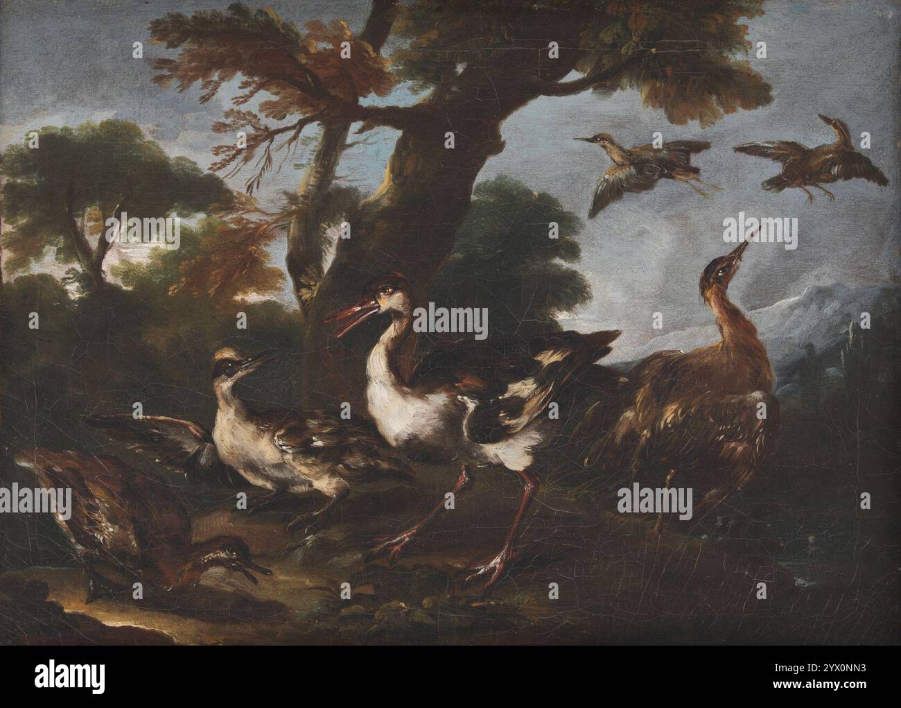 Angelo Maria Crivelli, Landskab med fugle Stock Photo - Alamy