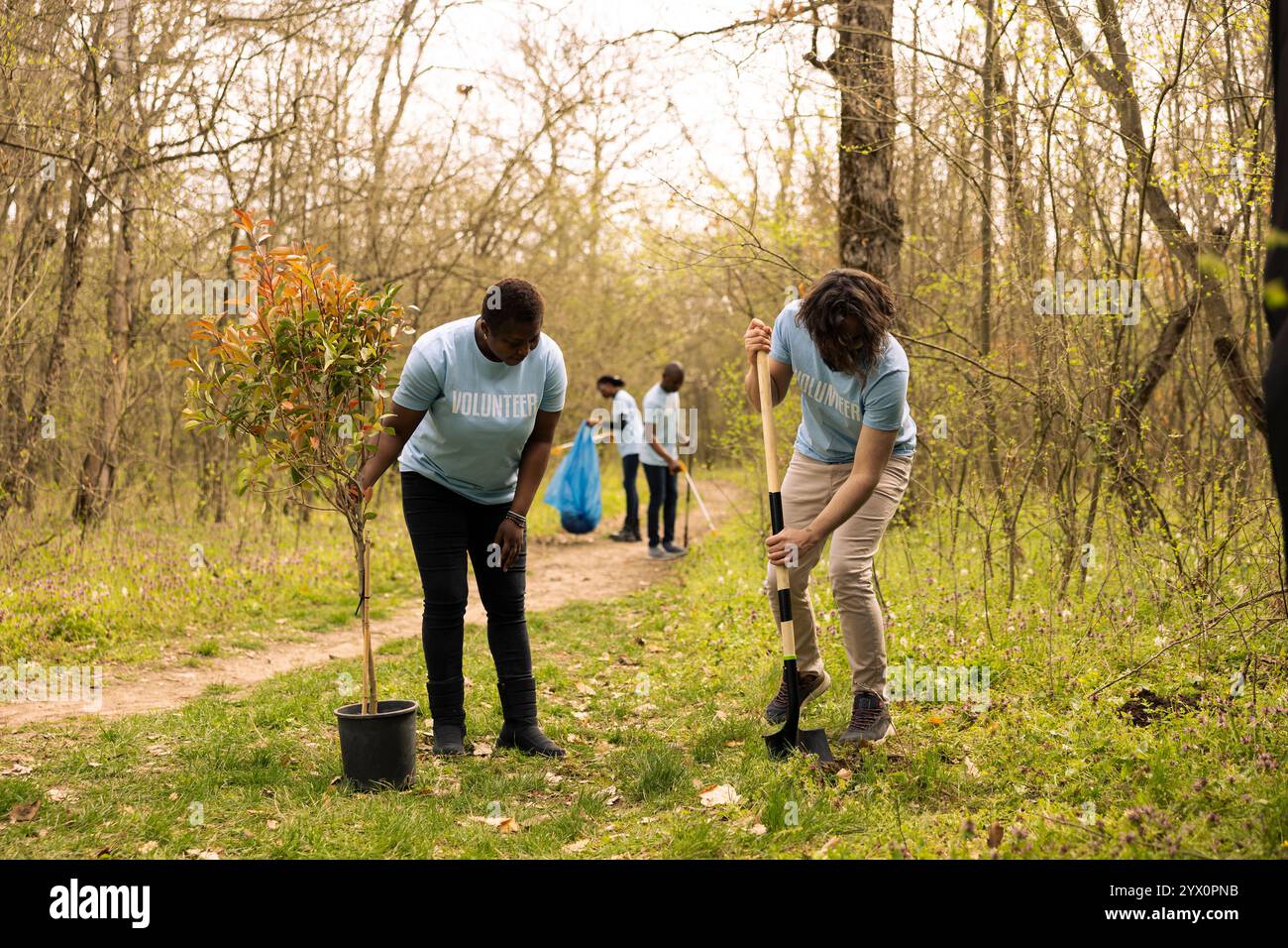 Diverse people joining forces in digging holes and planting trees with ...