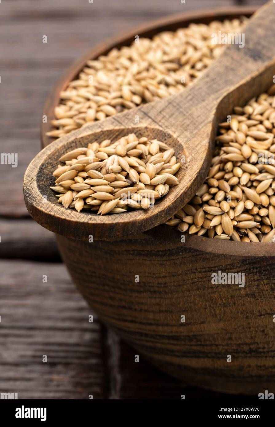 Bird seed food grain - Phalaris canariensis Stock Photo - Alamy