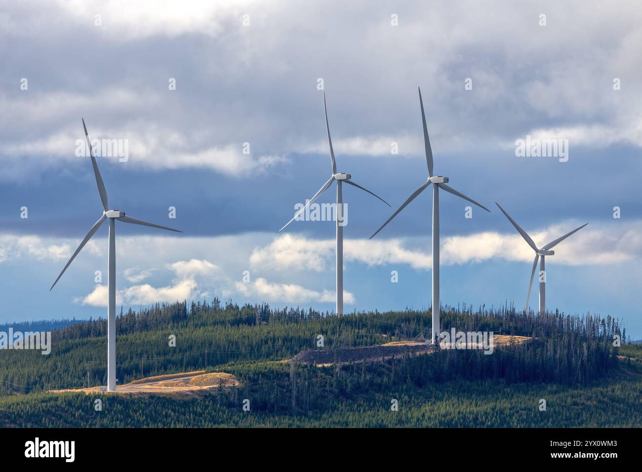 Wind turbines towering over mountain landscape generating clean energy ...