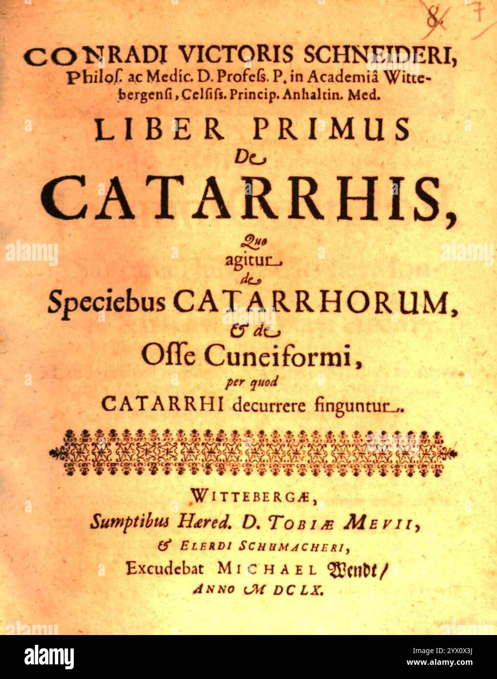 Cuneiformi hi-res stock photography and images - Alamy