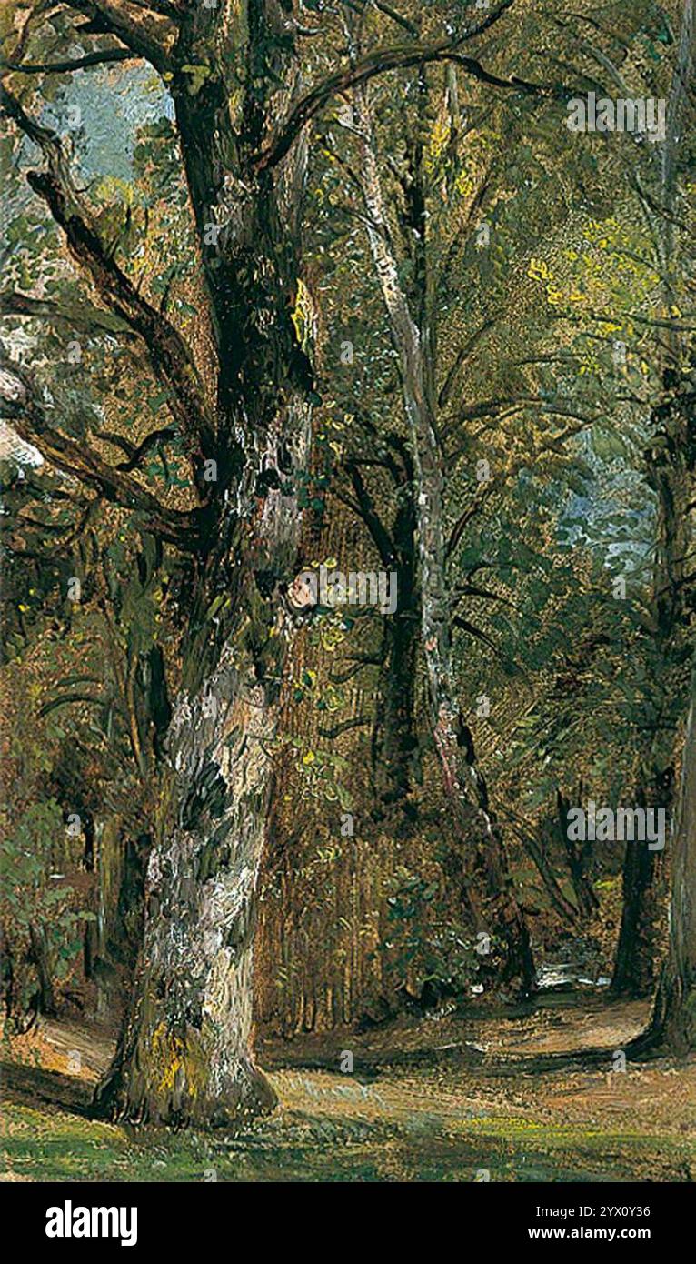 Constable - Avenue of Trees Stock Photo - Alamy