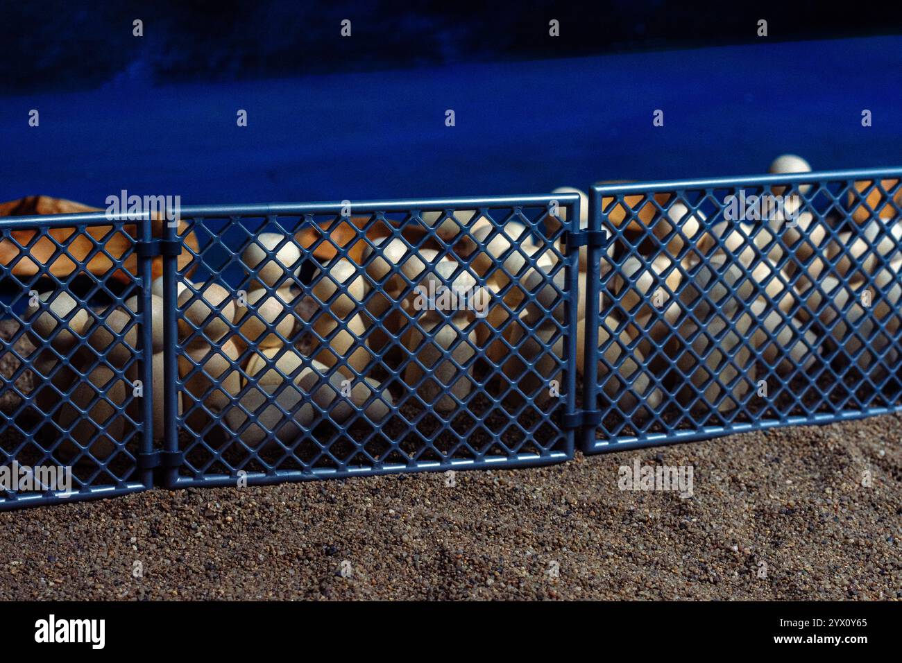 Fence and Wooden Pawns, Migration Barriers Representation Stock Photo ...