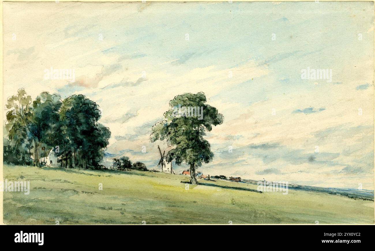 Constable - Landscape with tree in centre, windmill at rear, 1910,0212. ...