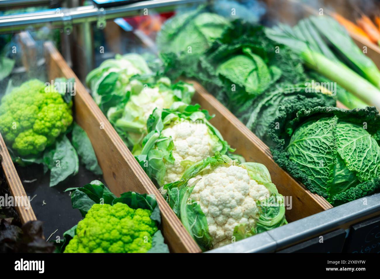 Different varieties of cabbage are laid out in separate containers on ...