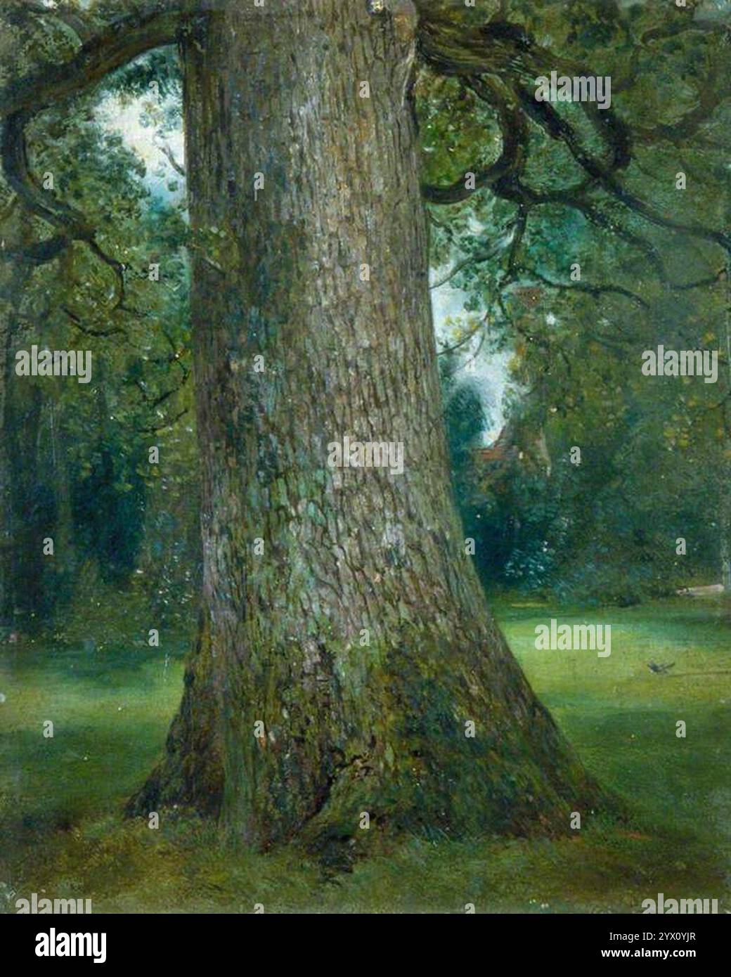 Constable - Study of the Trunk of an Elm Tree, c.1821, 786-1888 Stock ...