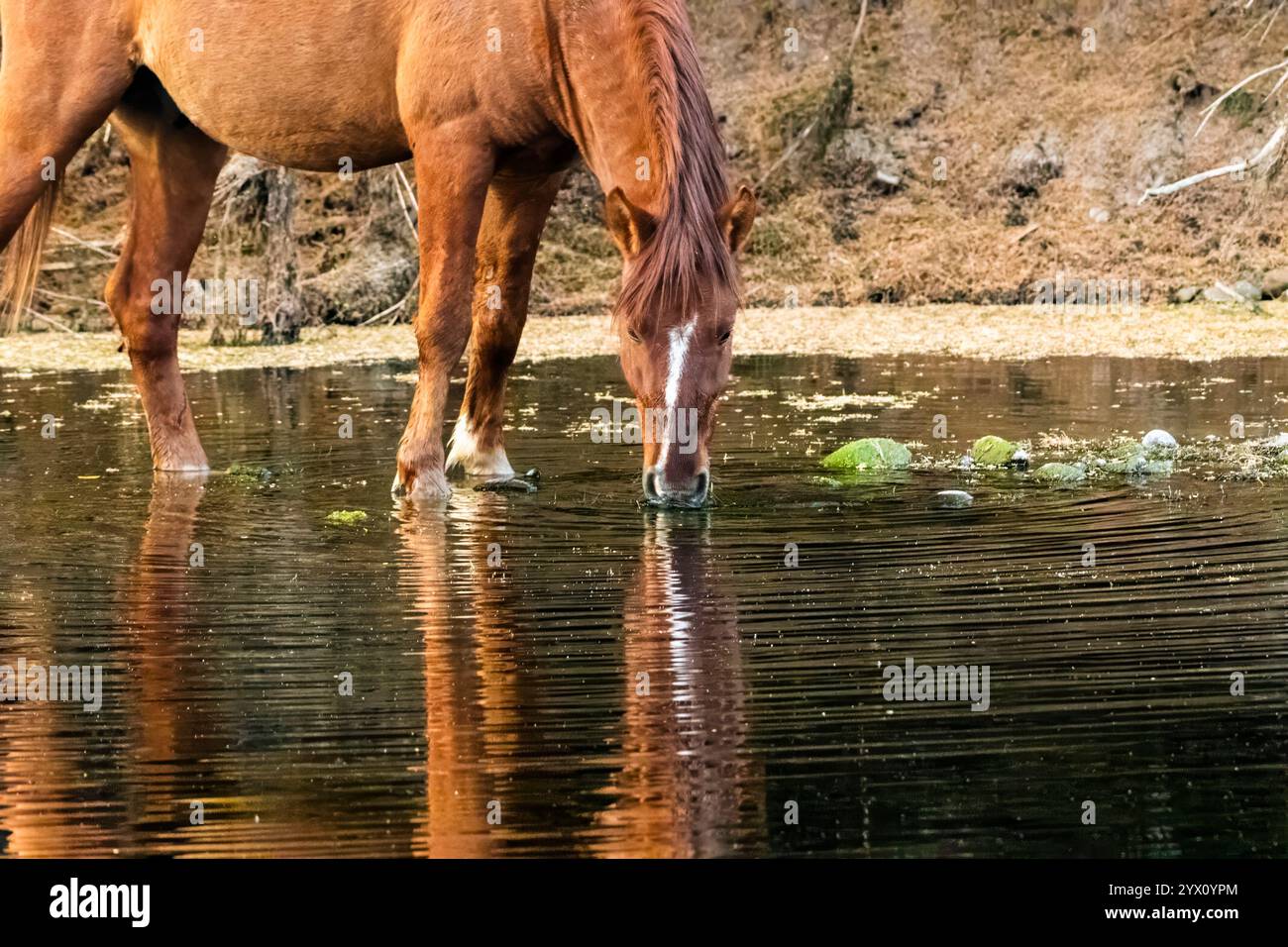 Reflection free hi-res stock photography and images - Alamy