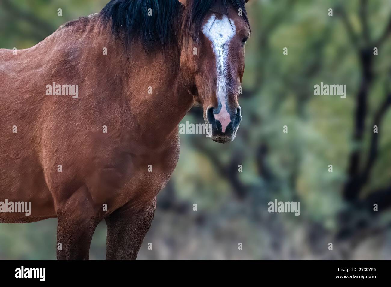 Soul fighting hi-res stock photography and images - Alamy