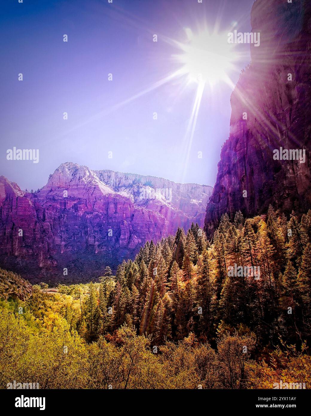 The mid-morning sun bathes the vibrant autumn foliage along the Upper Emerald Pool Trail in Zion ...