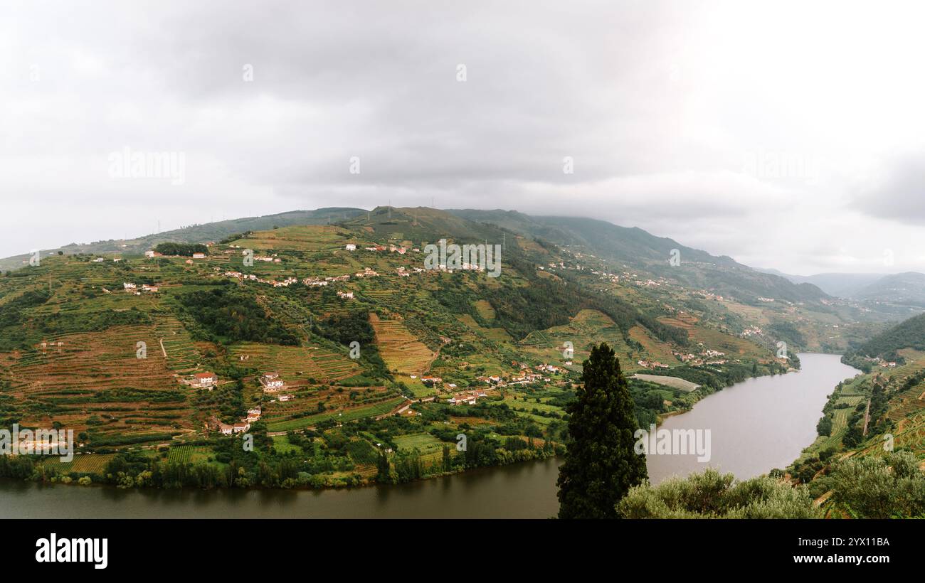 Drone shot vineyard terraces douro hi-res stock photography and images ...