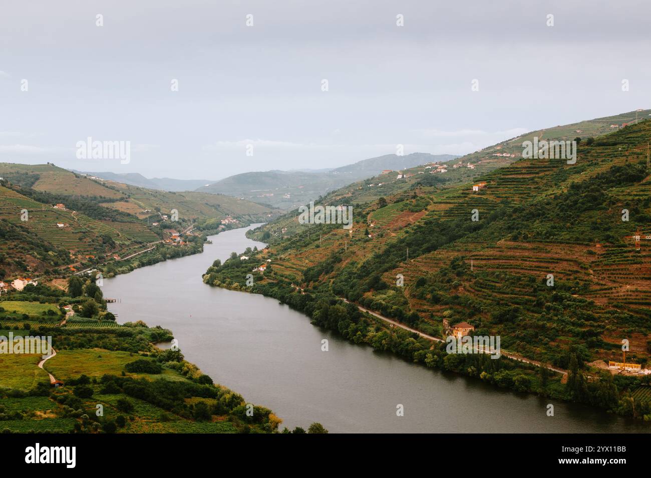 Winding through terraced vineyards, the douro river creates a ...