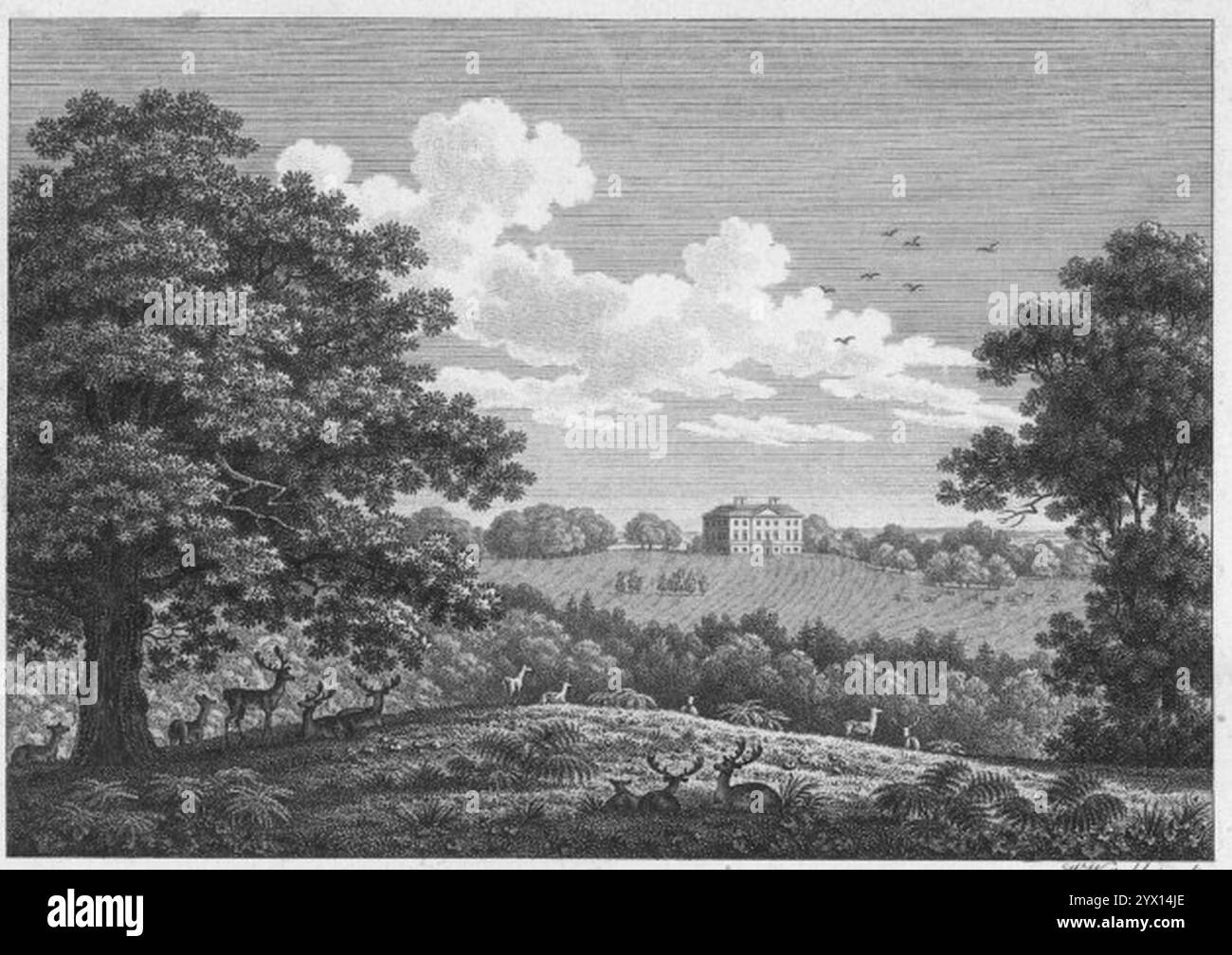Copped Hall, Essex, 1830s Stock Photo - Alamy