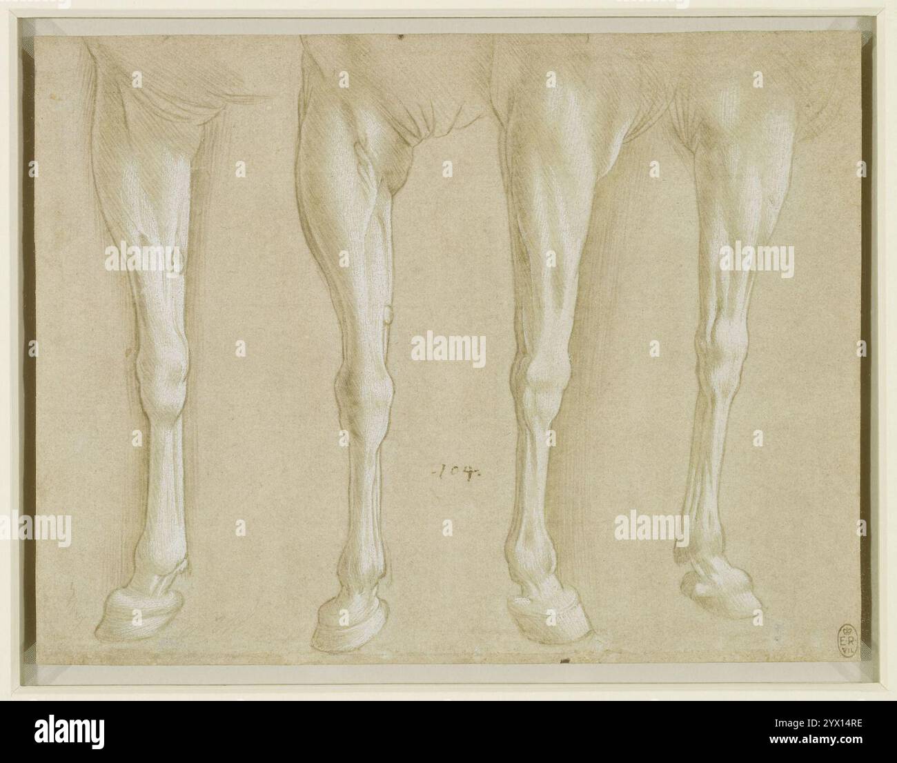 Copy after Leonardo da Vinci - Horses' fore-legs c.1490-1500 Stock ...