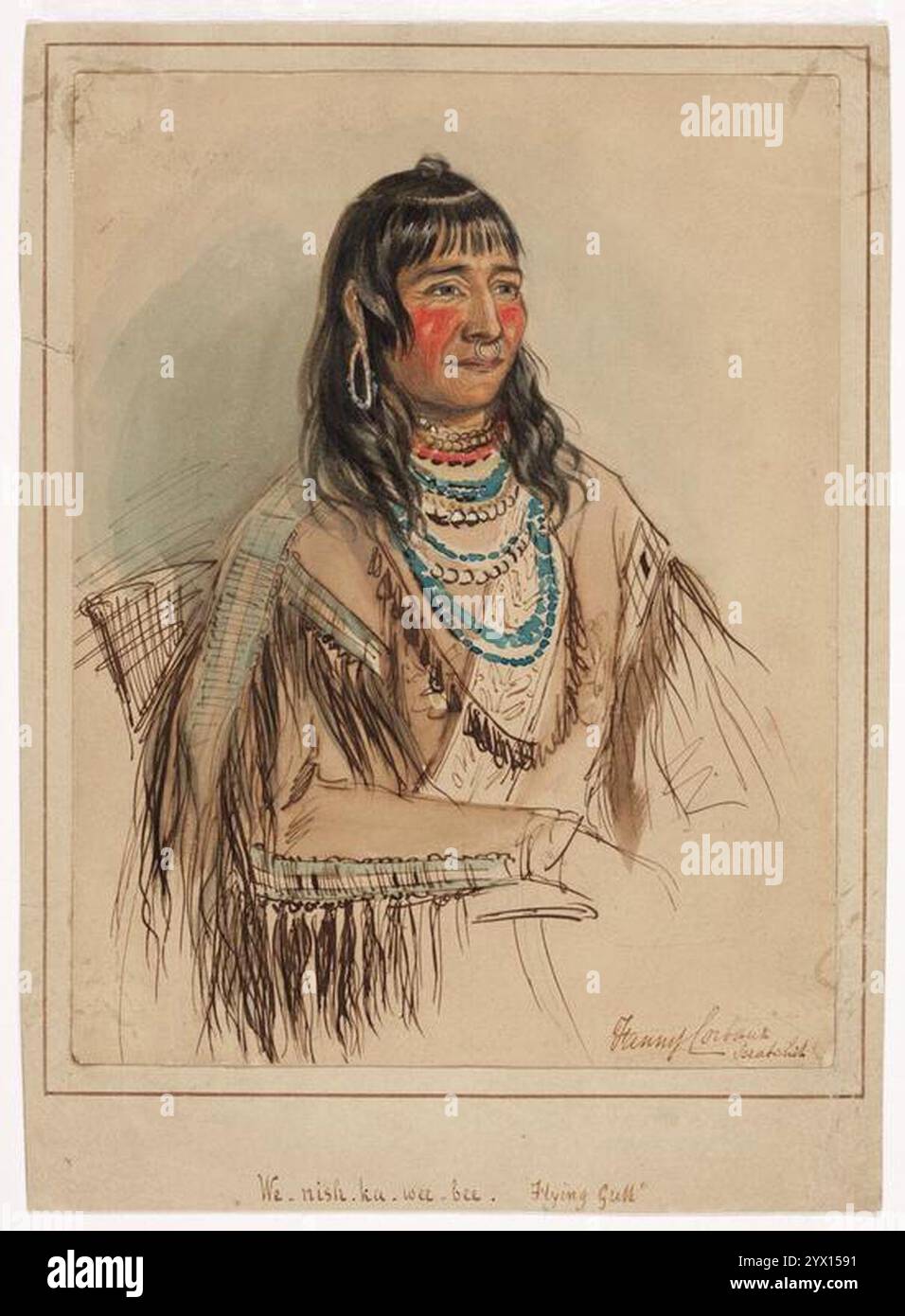 Corbaux flying gull Stock Photo - Alamy