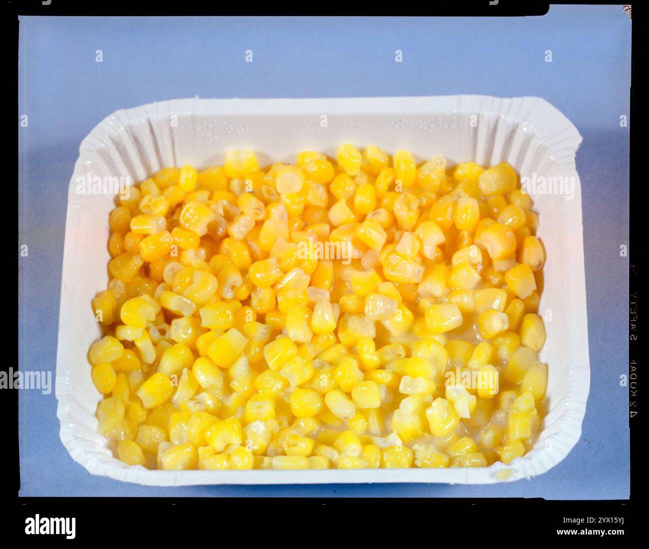 Corn, by the U.S. Army Natick Soldier Systems Center, 1977 Stock Photo ...
