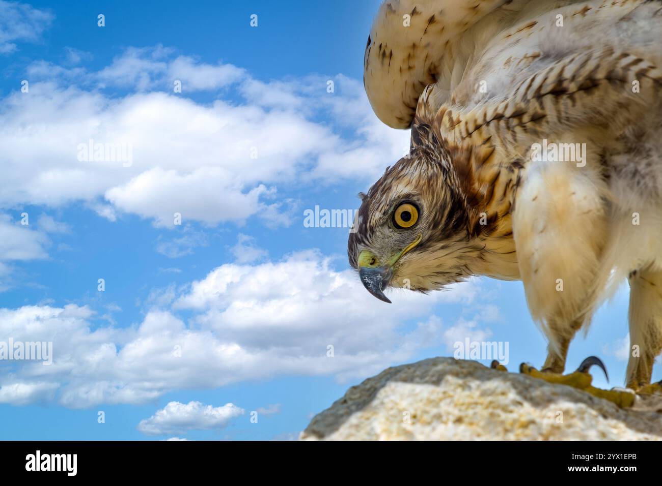 Close up aerial view majestic hi-res stock photography and images - Alamy