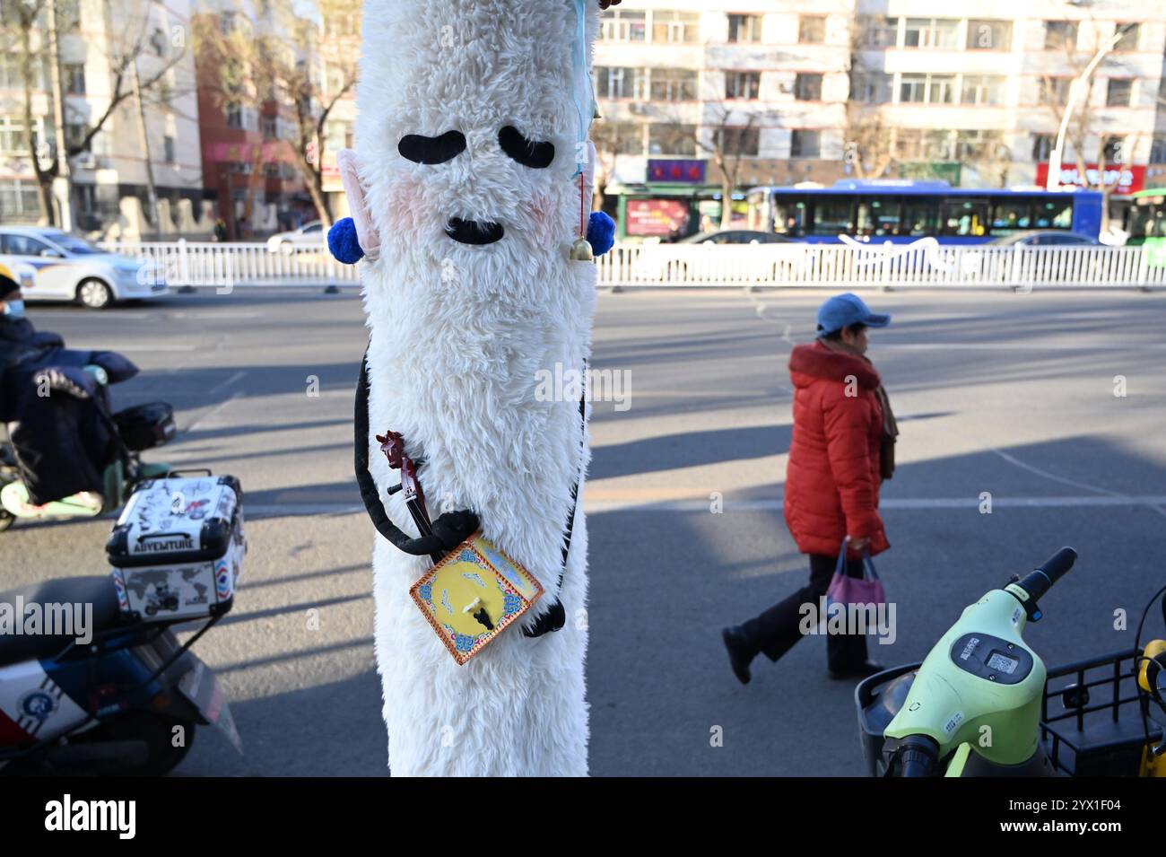Big trees wearing sweaters hi-res stock photography and images - Alamy
