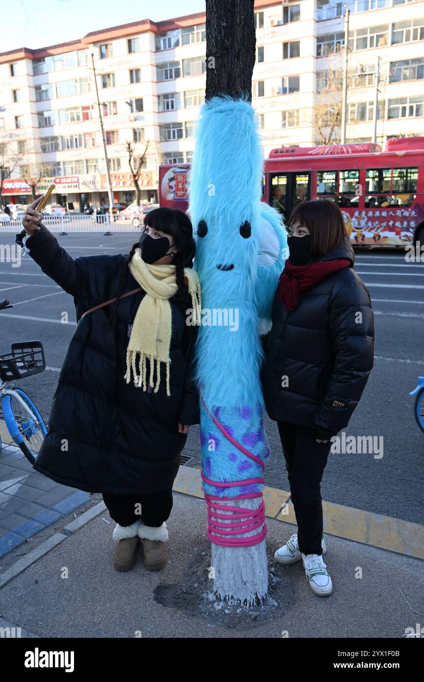 Big trees wearing sweaters hi-res stock photography and images - Alamy
