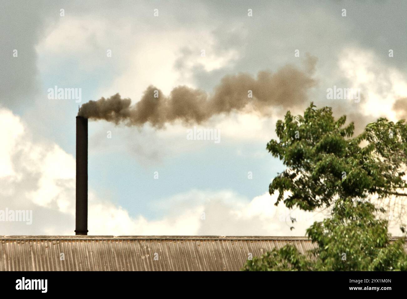 A chimney emitting smoke at Kayu Aro tea factory in Kersik Tuo village ...