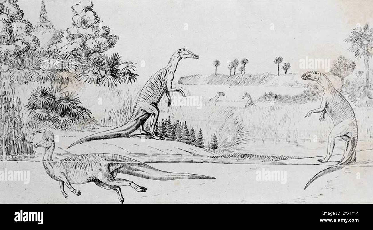 Corythosaurus restoration from 1916 Stock Photo - Alamy