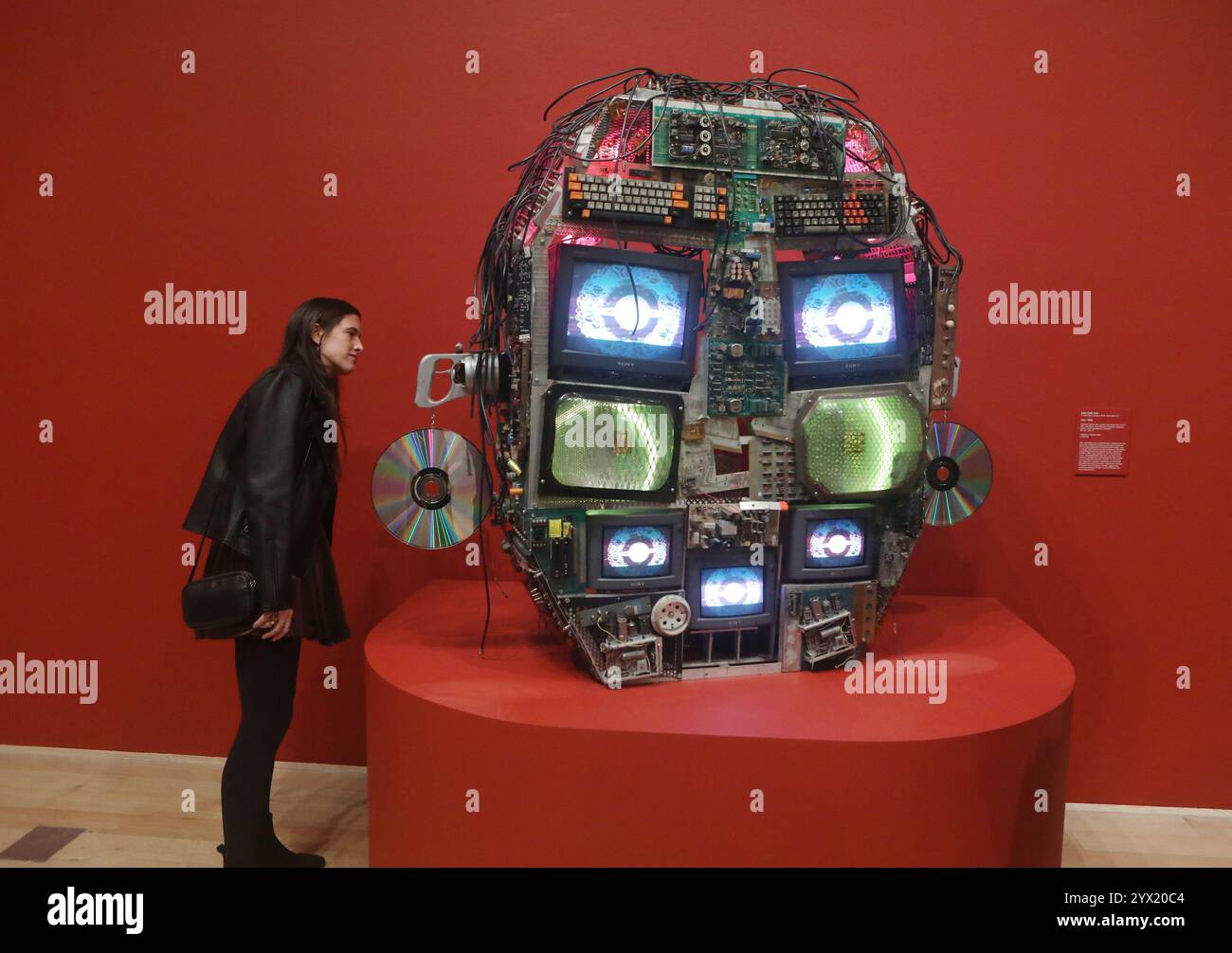 MIAMI BEACH, FLORIDA - DECEMBER 4: A mixed media artwork titled Lucy ...