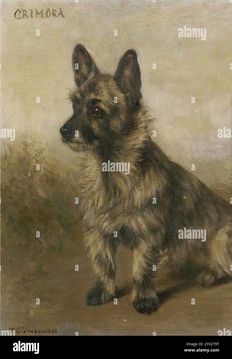 Crimora hi-res stock photography and images - Alamy